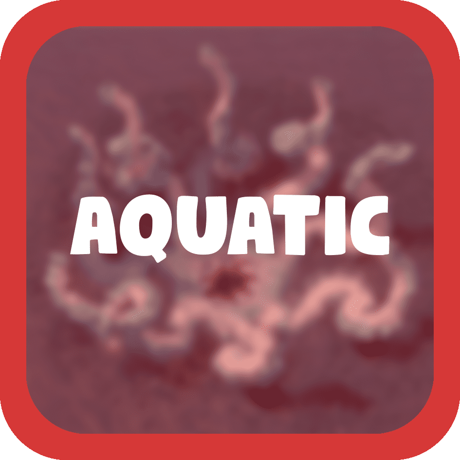 Aquatic Style – Build It