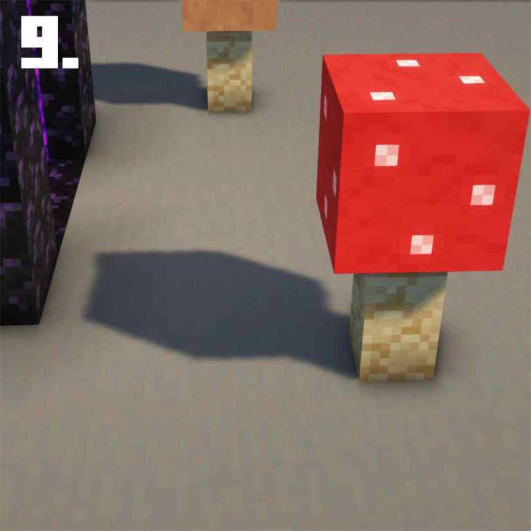 Mushroom Nether Portal – Build It